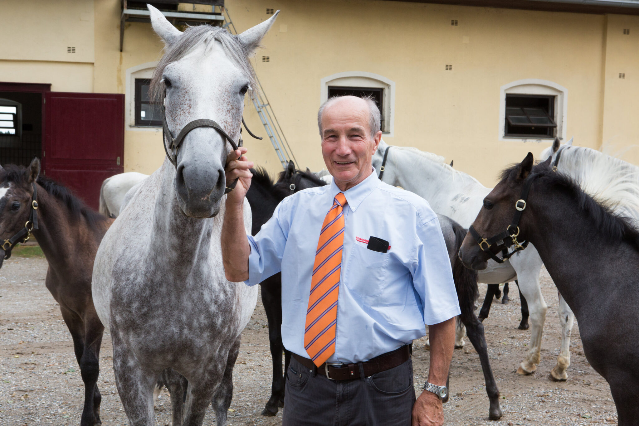 Geschichte | Busreisen Schlatzer